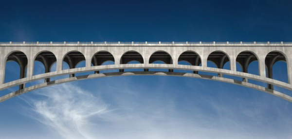 What does Trellis mean?